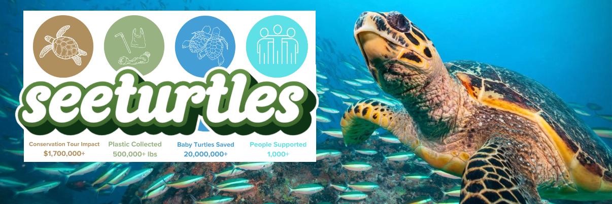 $SEETURTLES - Sea Turtle Charity Token on Solana
